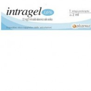 Intragel siringa intra-art 1,6%2ml